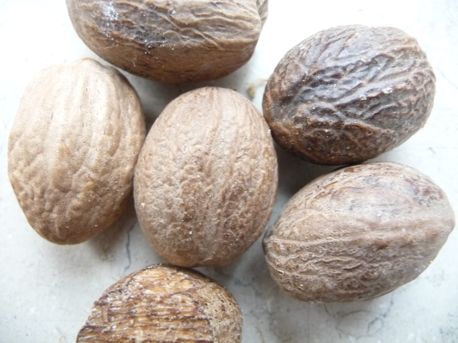 Nux moschata – Homöopathischer Bereitschaftsdienst